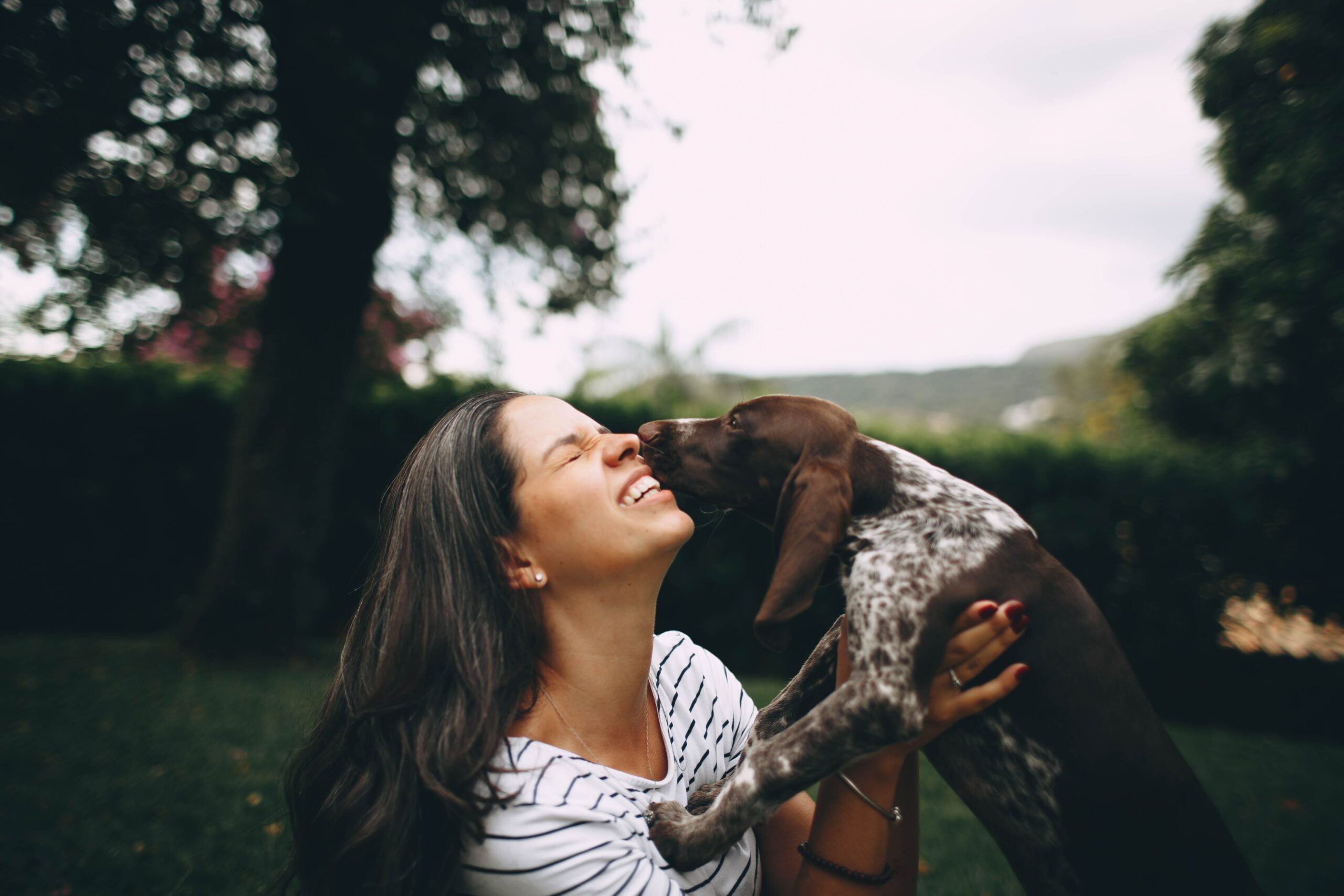 Tips for New Dog Owners a Guide to Healthy Happy Dogs