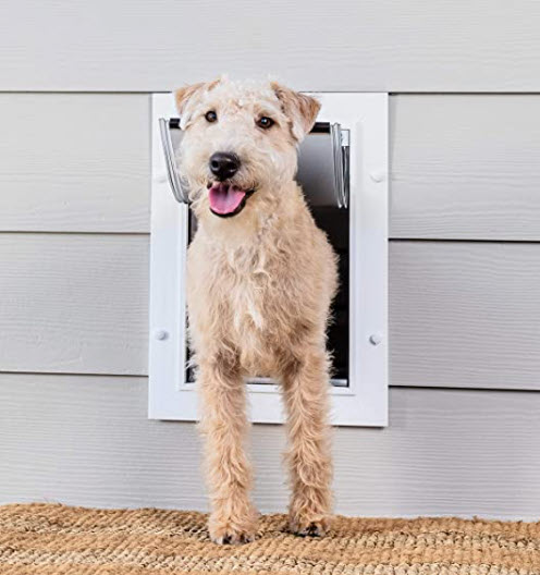 7 Best Dog Doors in Review