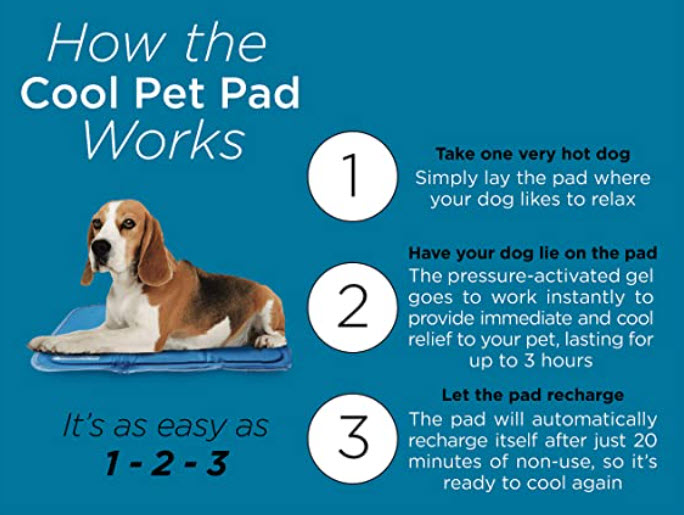 Cooling Gear for Dogs How to Keep Your Dog Cool