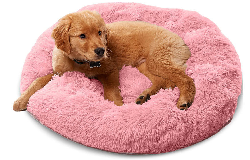5 Best Small Dog Beds for Under $30!