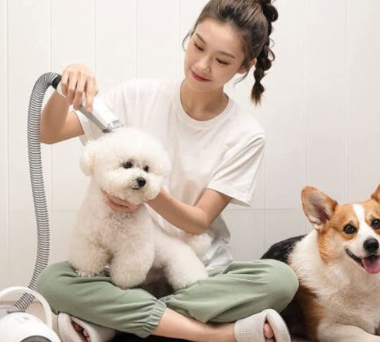 Best Dog Grooming Kits With Vacuum