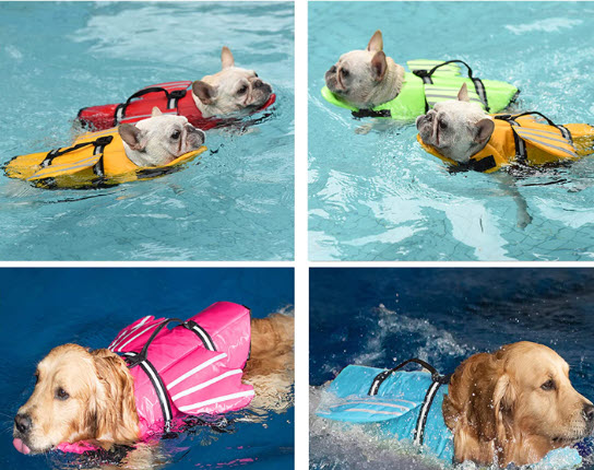 Petglad Wings Dog Life Jacket Review - With a Chin Float for Water Safety