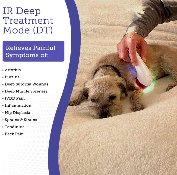 LumaSoothe LED Light Therapy for Pets at Home